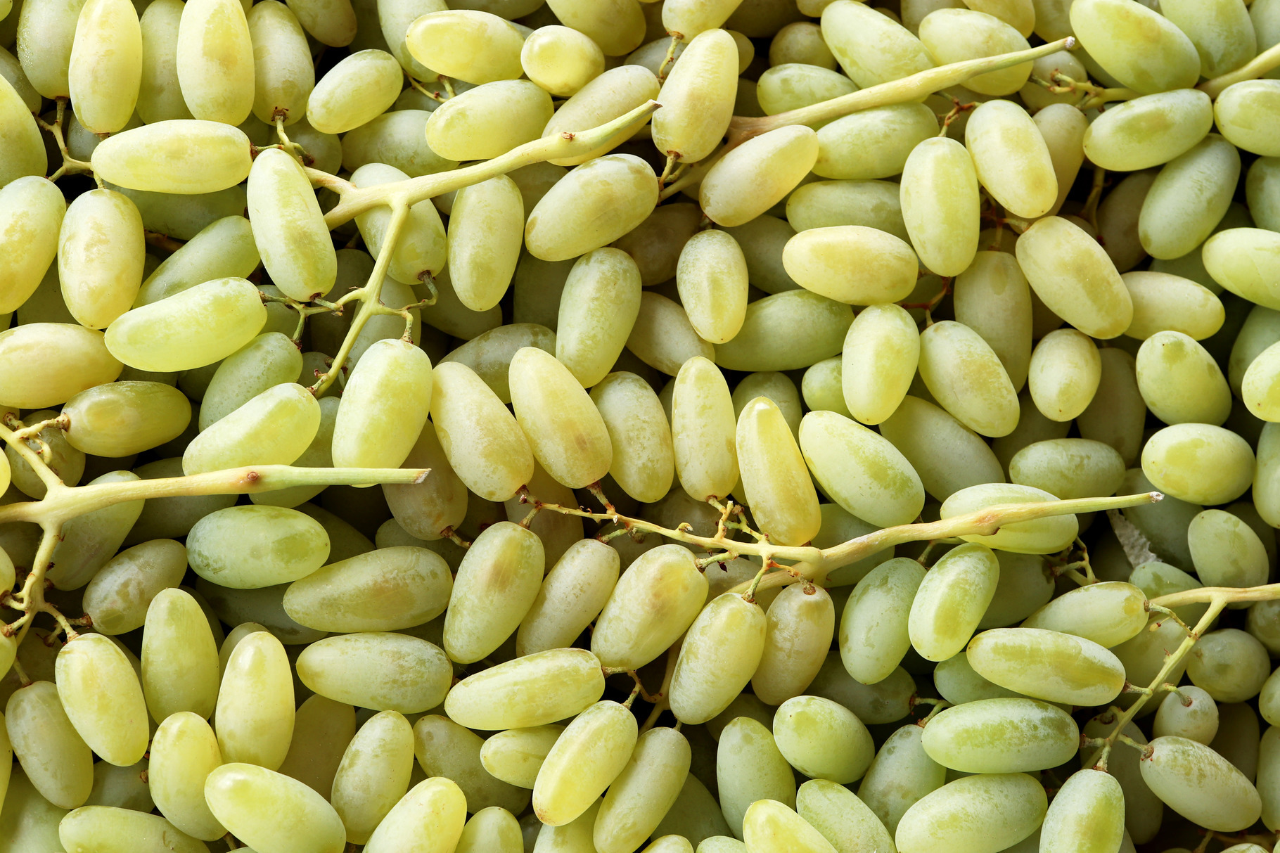 Grape filling texture featuring texture, background, and pattern, a ...