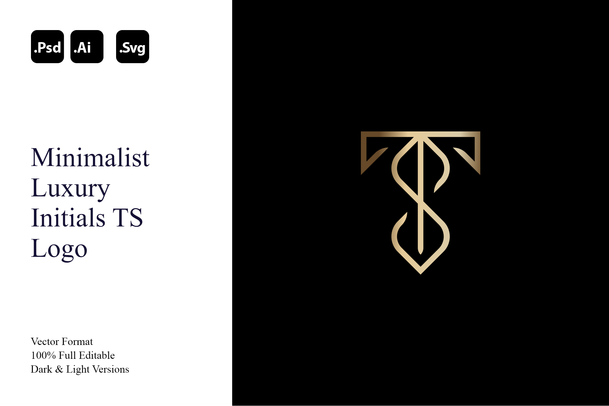 Minimalist Luxury Initials TS Logo