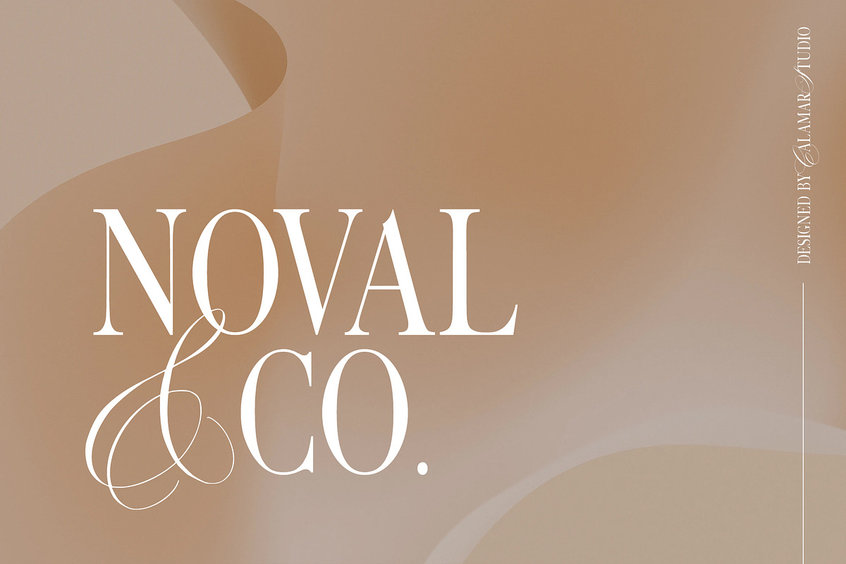 Monique Display Font Duo | Logo Font