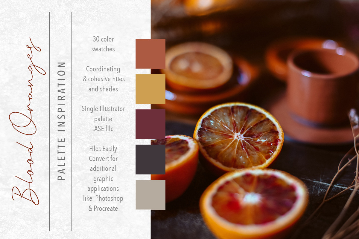 Illustrator Color Palette Bundle V2, a Palette Add-On by Jennadesigns