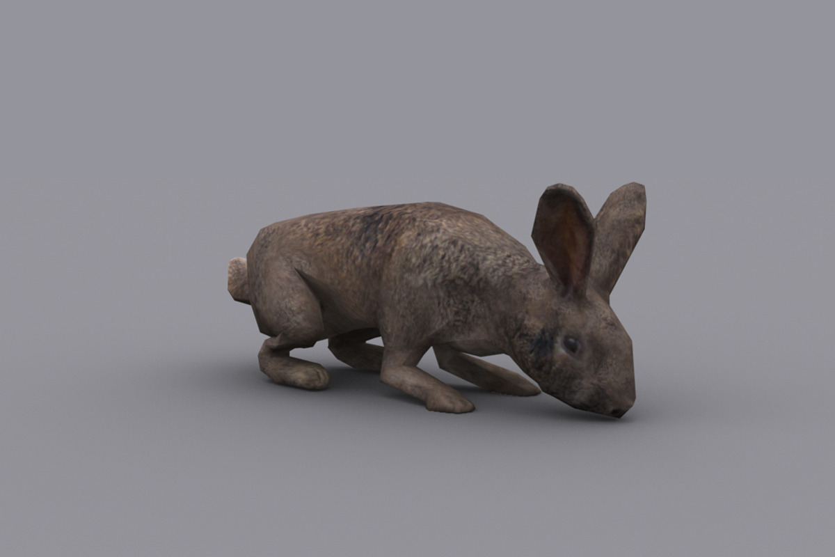 RABBIT fbx only, an Animal 3D Model by PROTOFACTOR