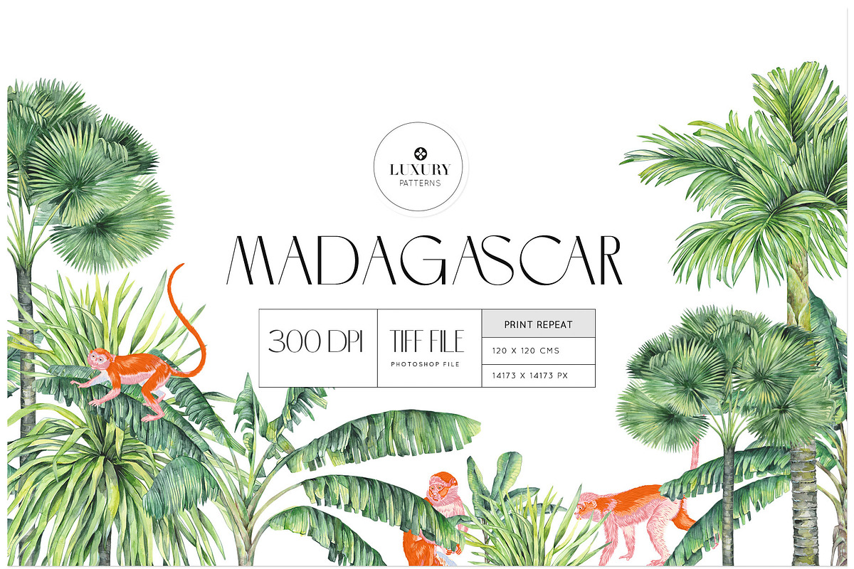 Madagascar, luxury Patterns!, a Pattern Graphic by TSTUDIO