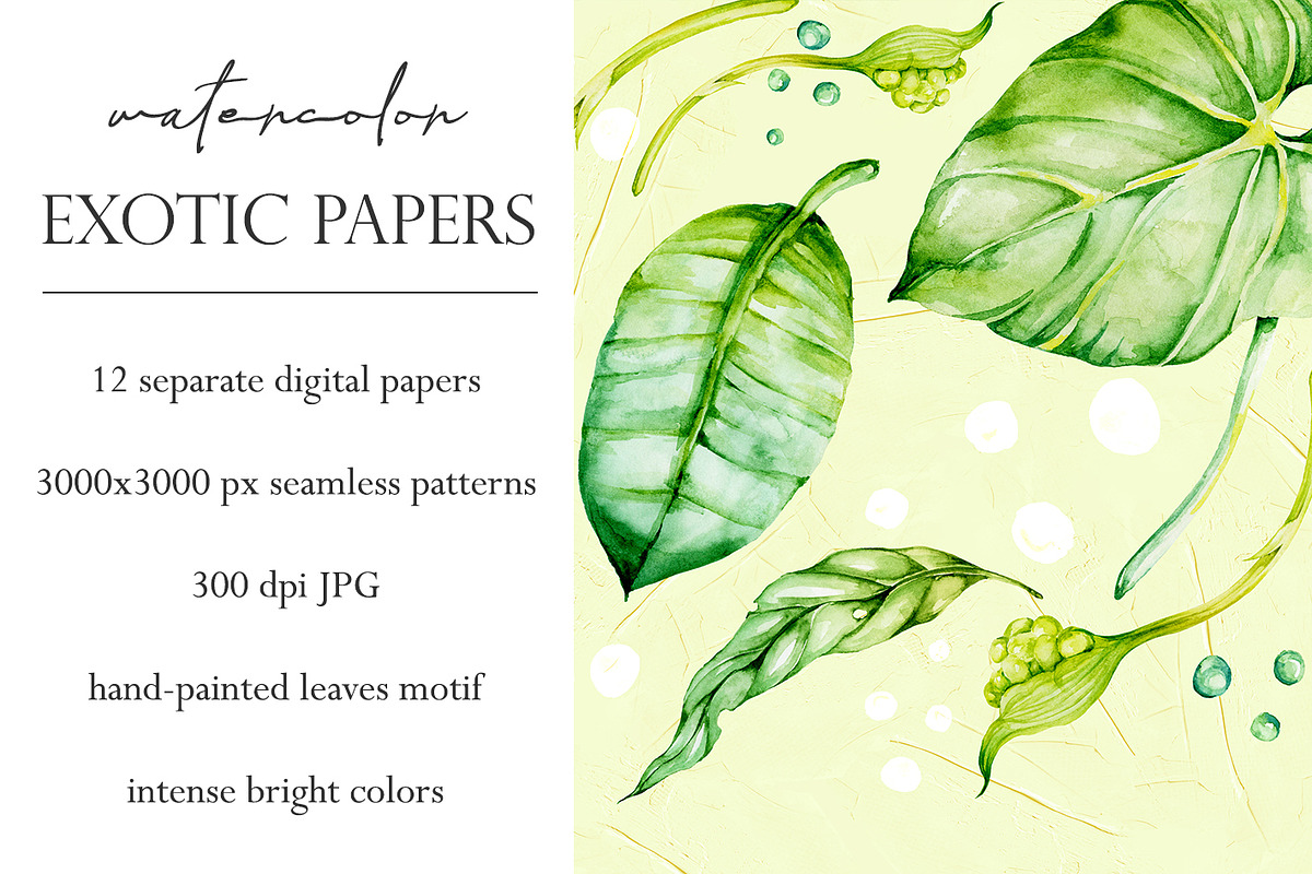 12 Exotic seamless patterns, a Pattern Graphic by PixelJungle