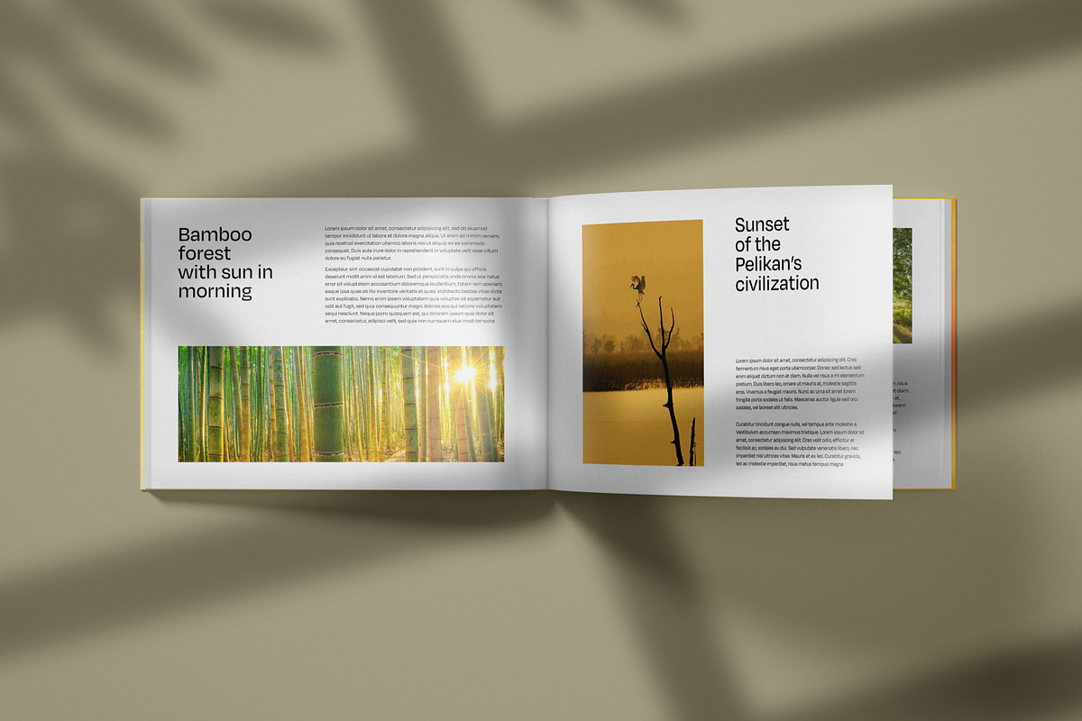 Horizontal Catalog Mockup Set, a Print Template by Deeplab