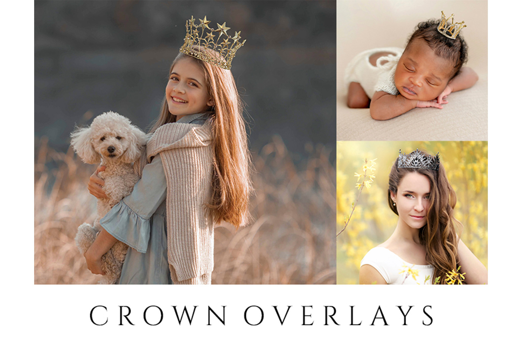 Crown Overlays, PNG, a Layer Style Add-On by Wild Honey Design Co.