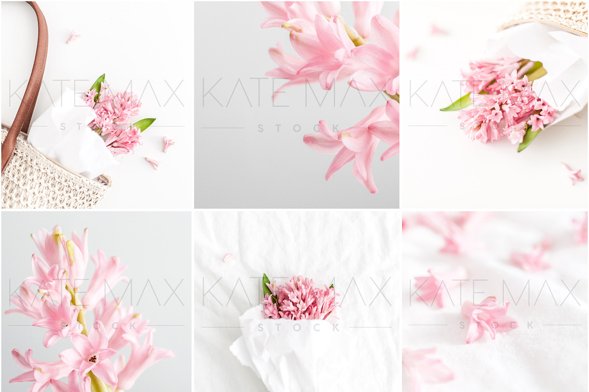 Pink Spring Blossom Stock Photo Bund, a Product Mockup by Styled Stock ...