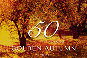 50 Images | Golden Autumn Bundle, a Nature Photo by Anneleven