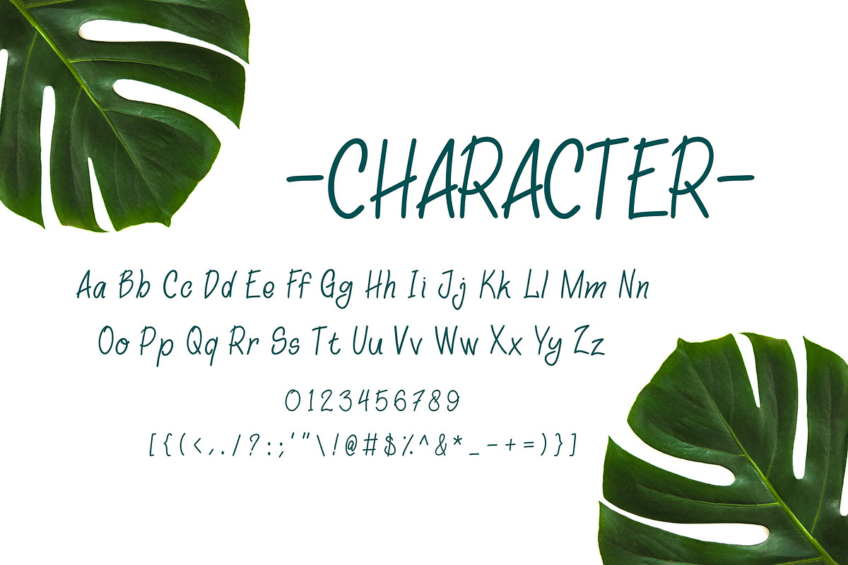 Bruane Brenn - Handwritten Font | Creative Market
