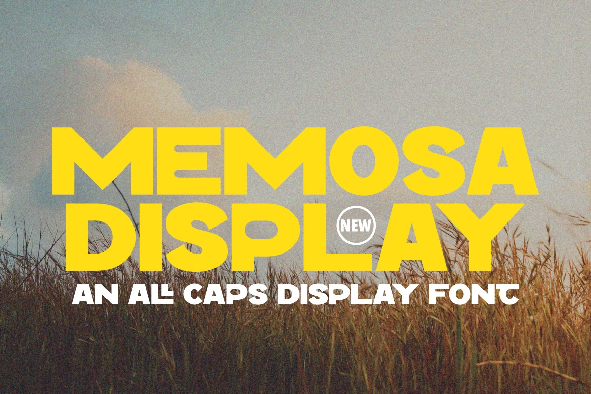 Memosa - All Caps Display Font, a Sans Serif Font by tebaltipislab ...