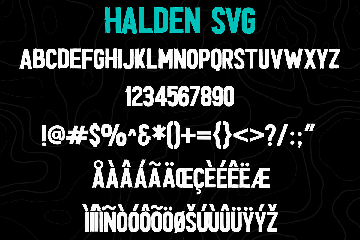 Halden - Hand Brushed SVG Font Duo, a Sans Serif Font by Surplus Type Co