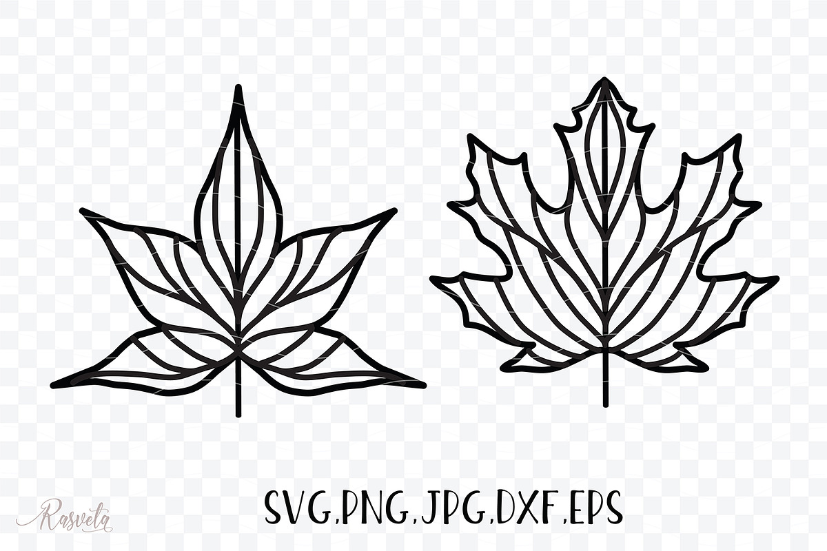 Tree Leaf Pattern Collection, a Decorative Illustration by Rasveta