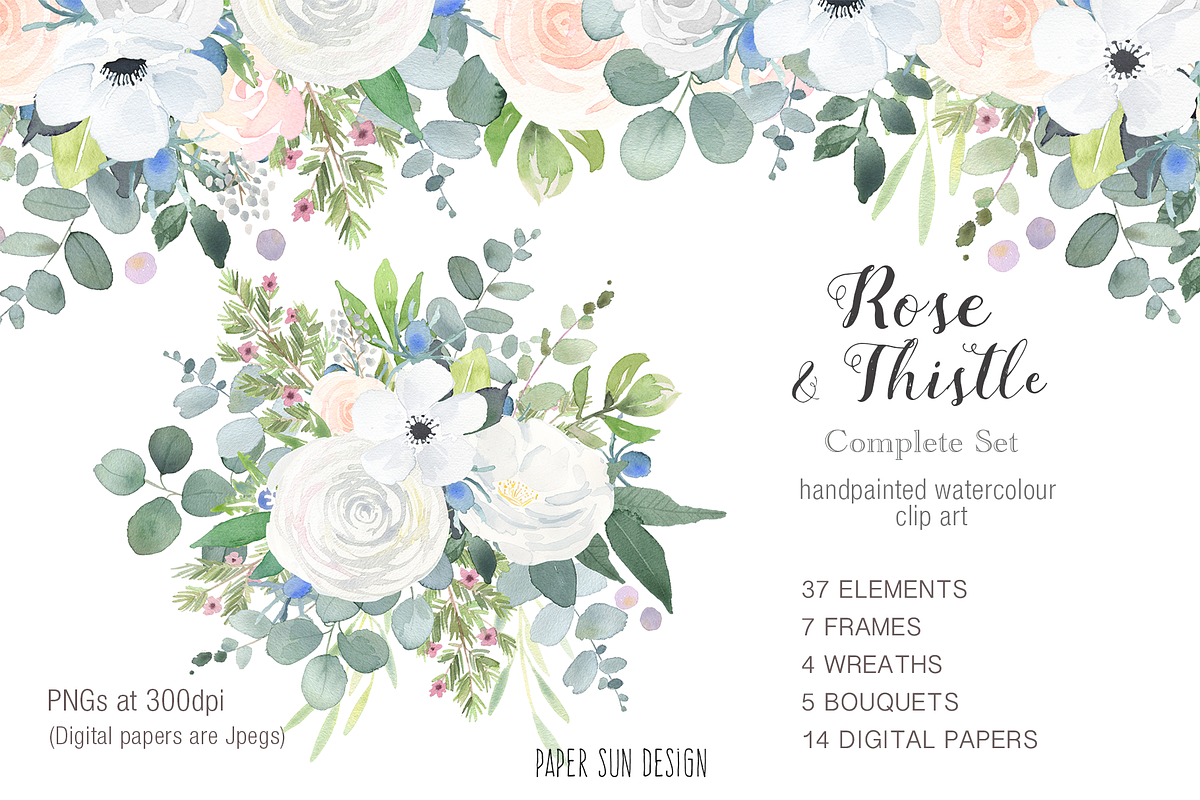 Rose and Thistle Clip Art Bundle, an Illustration by Paper Sun Design