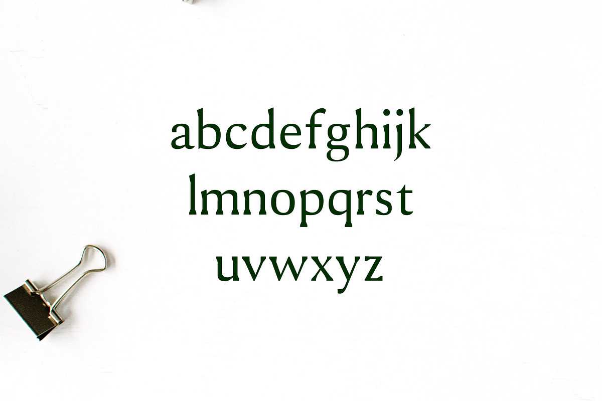 Shaaron A New Serif 2 Font Family, a Serif Font by Creativetacos