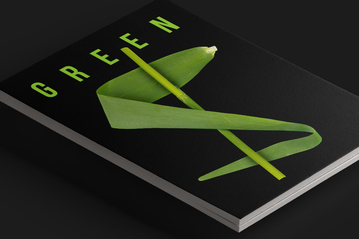 Reed Font, a Font by Handmadefont