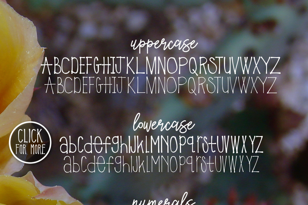 Prickly Pear a Handwritten Typeface, a Handwritten Font by Kitaleigh