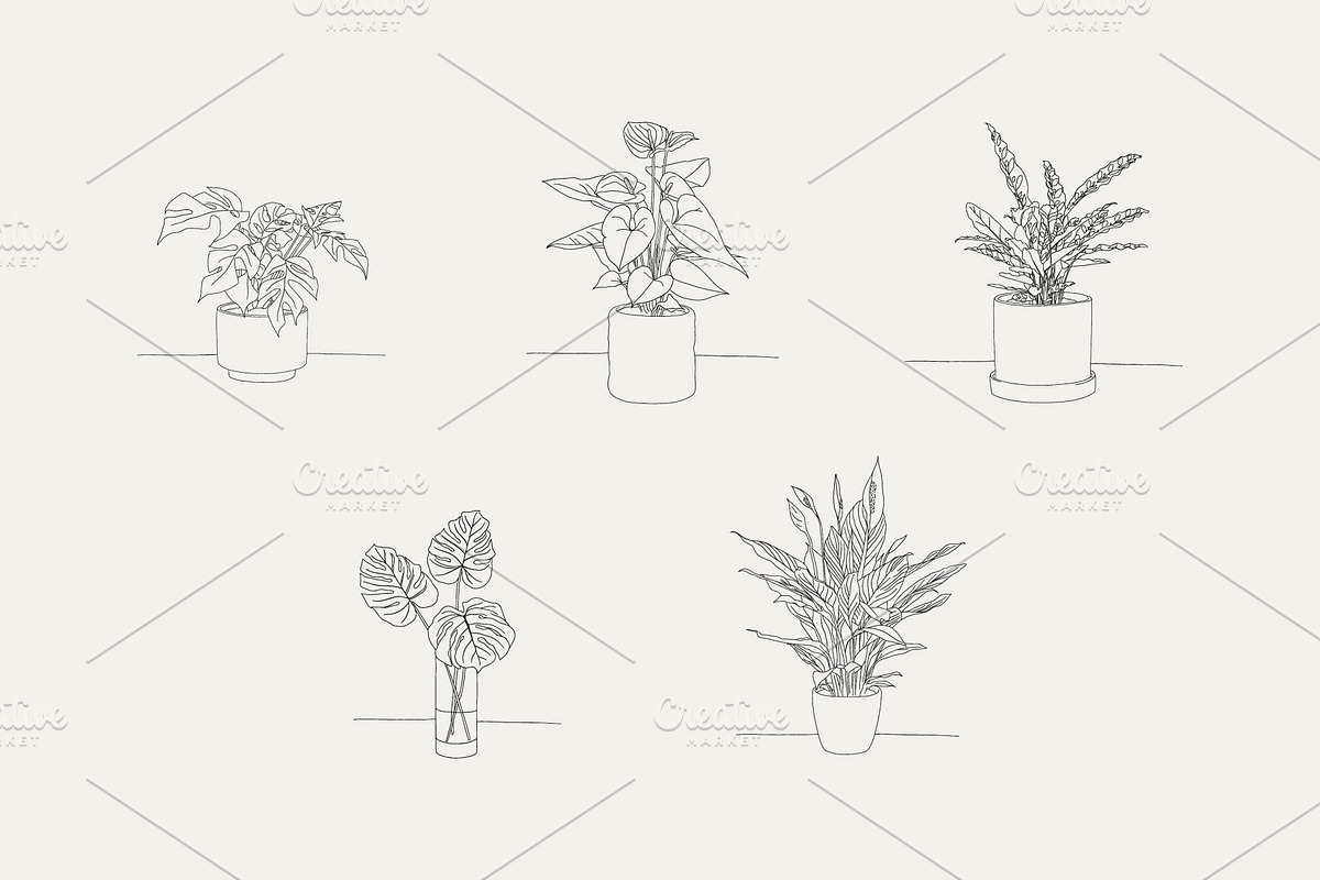 House Plant-Vector Illustration Pack, an Illustration by Lovendear Design