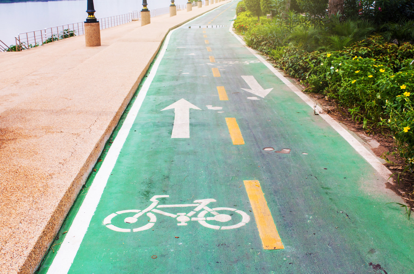 Bike lane in the park stock photo containing bike and lane, a Sports ...