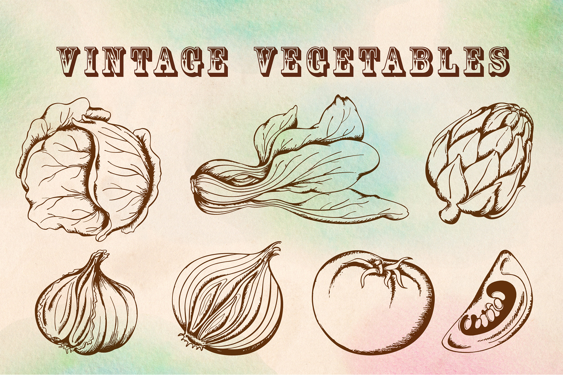 Set of Vintage Hand Drawn Vegetables, a Decorative Illustration by Artspace