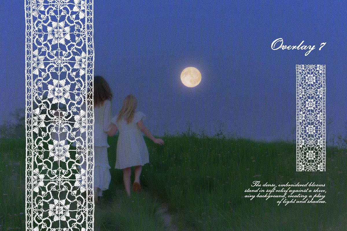 Vintage Lace Pieces Overlays, a Texture Graphic by Kaleriia