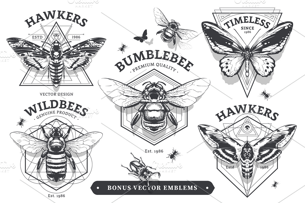 Vintage Insects Vector Set, an Animal Illustration by Vecster