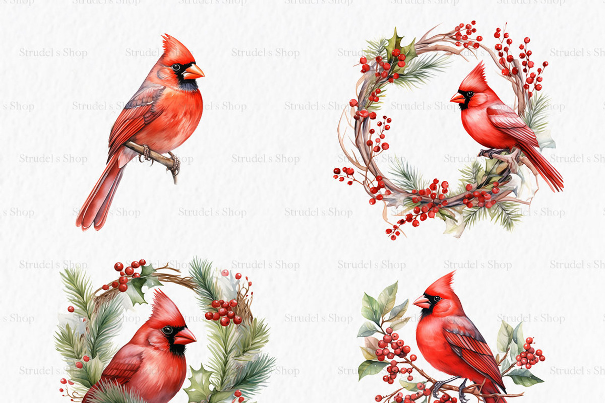 Red cardinal bird clipart PNG, an Object Graphic by MyLittleMeow