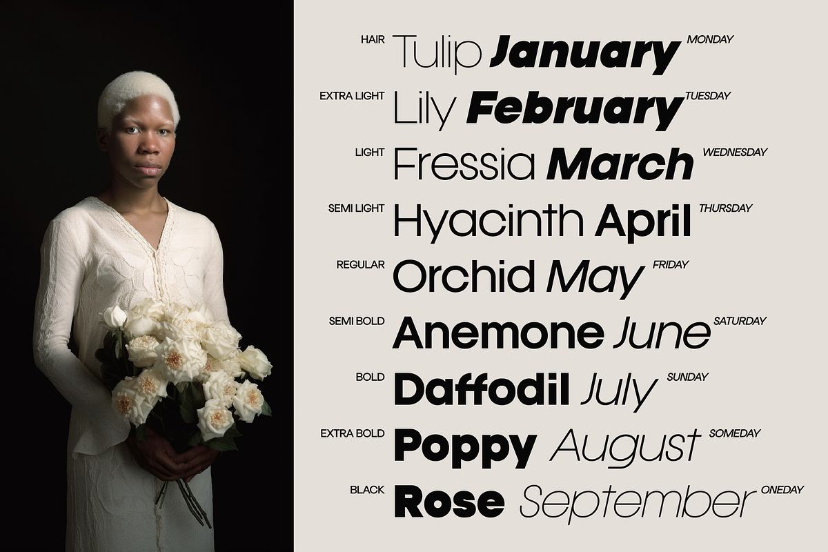 Franie Geometric Sans Family, a Font by That That Creative