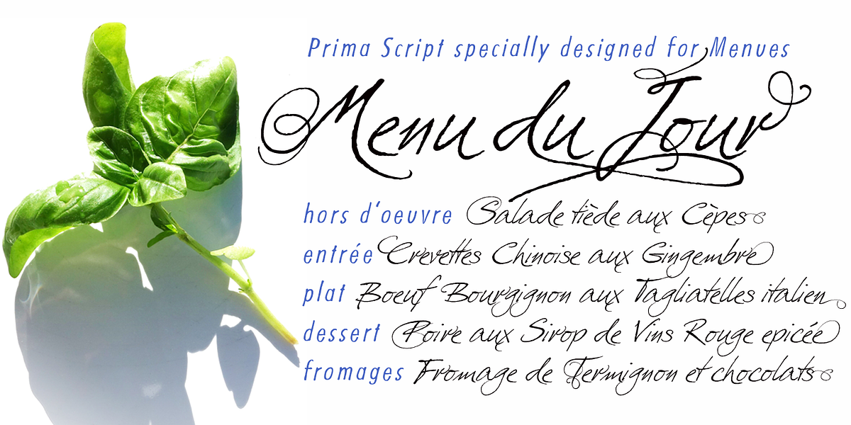 Prima Script, a Script Font by Wiescher-Design