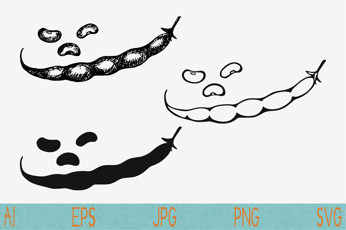 green beans set vector svg png eps, an Object Graphic by FileVectorSVG