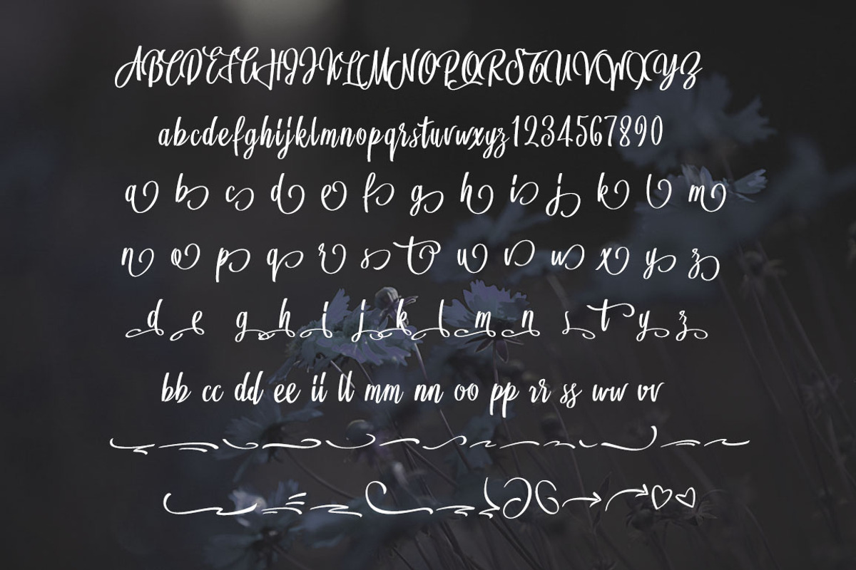 BrushWork TypeFace, a Script Font by alphadesign | Creative Market