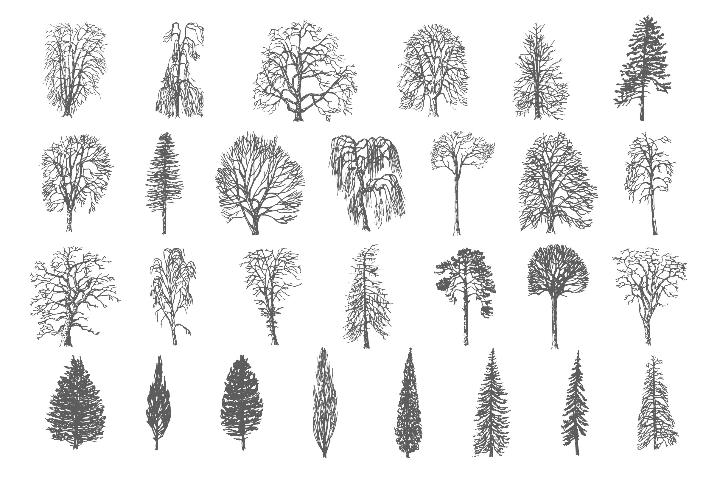 28 Ink trees vector set, a Decorative Illustration by Artha Design Studio