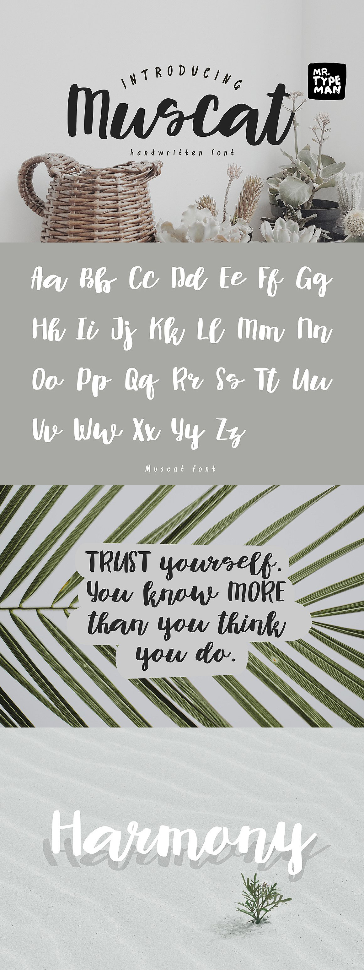 Muscat Handwritten Script, a Handwritten Font by Mr.Typeman