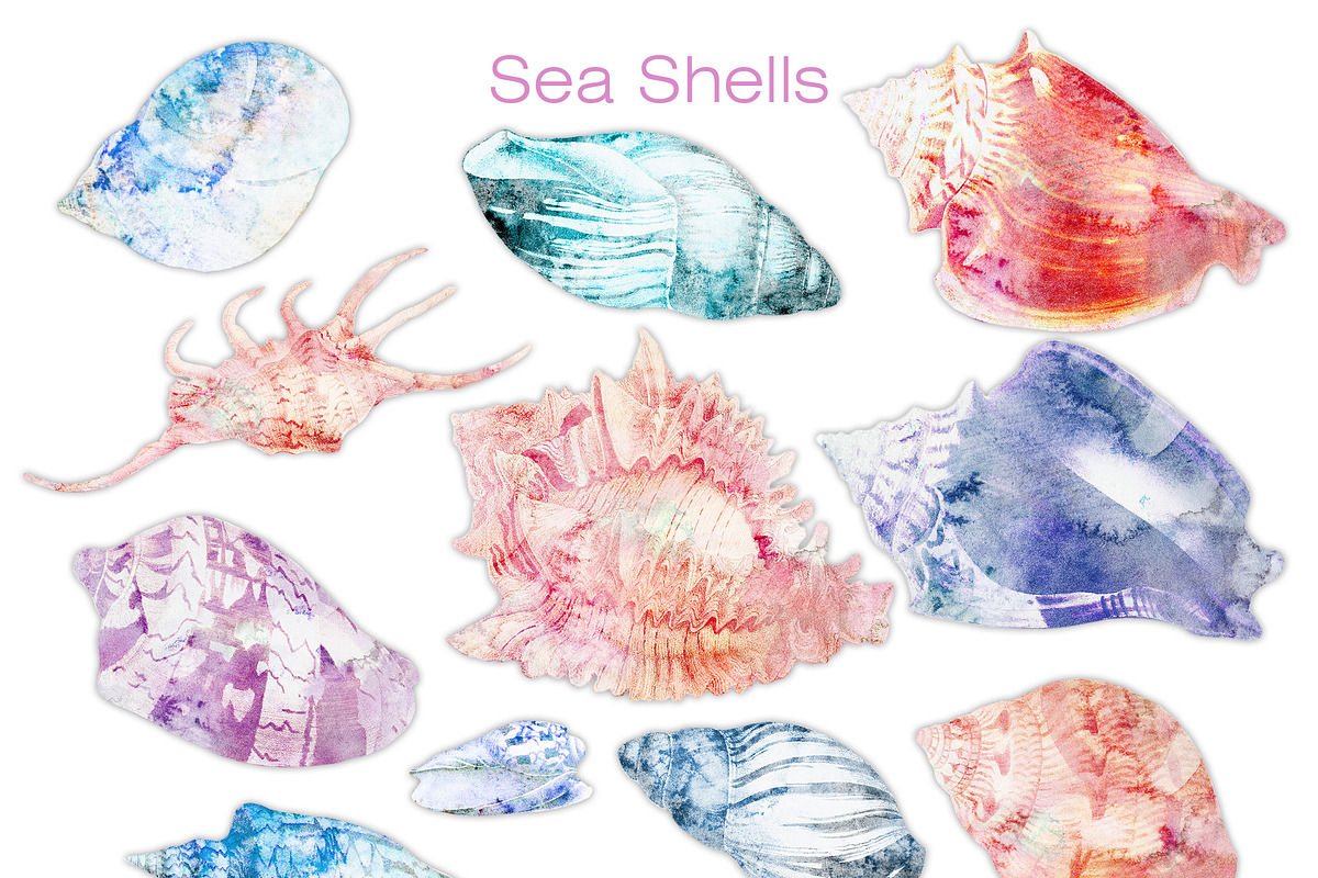 Beach Seashells Ocean Shells Clipart, an Illustration by ClipartBrat ...