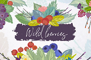 Wild berries- vector clipart, a Decorative Illustration by DruZhi Art