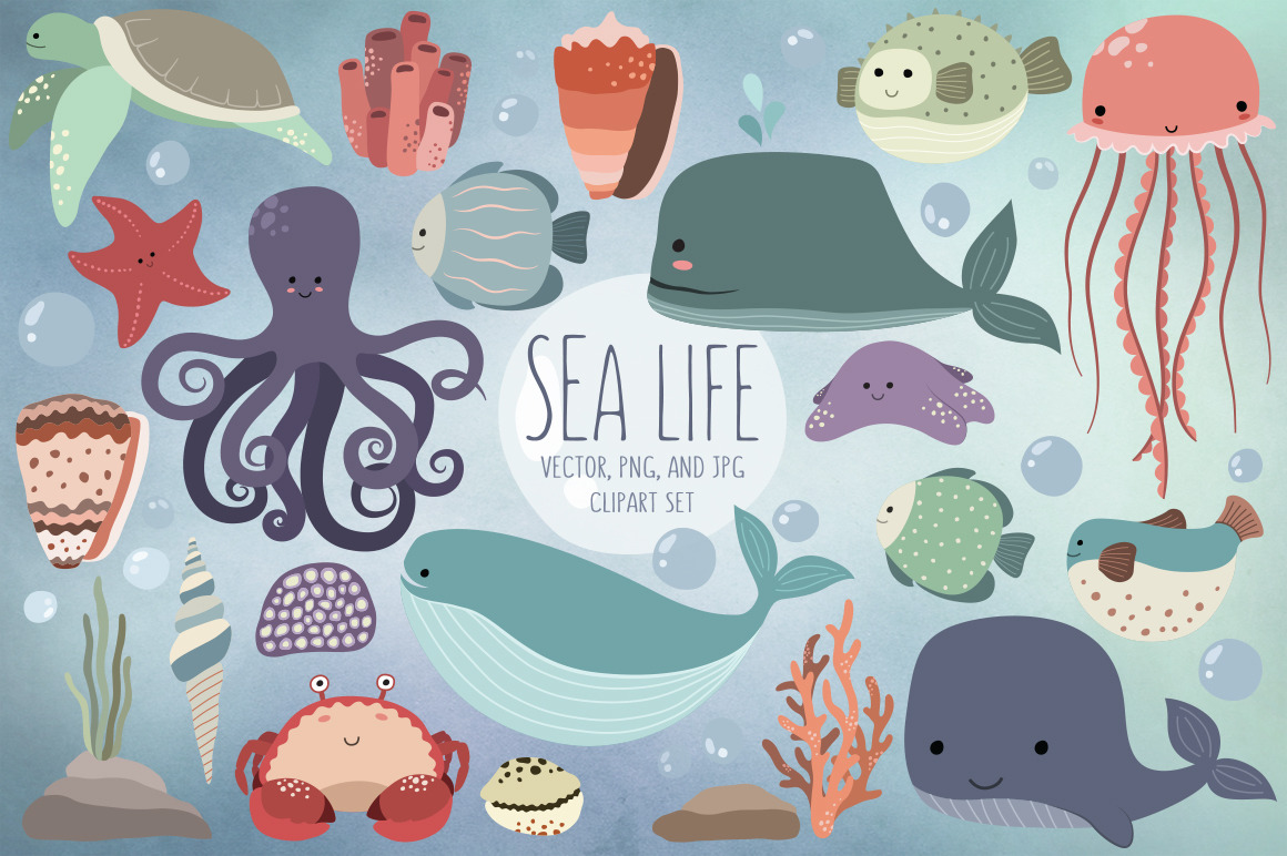 Cute Sea Life Design Elements, an Animal Illustration by Kenna Sato Designs