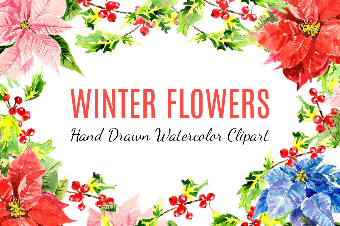 Winter Watercolor Flowers, a Graphic by KannaaDesign