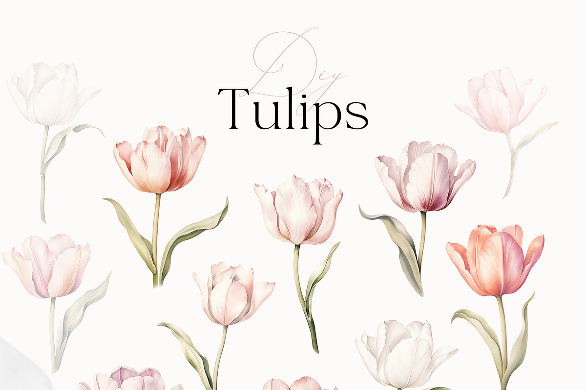 TULIPS Spring Watercolor Flowers