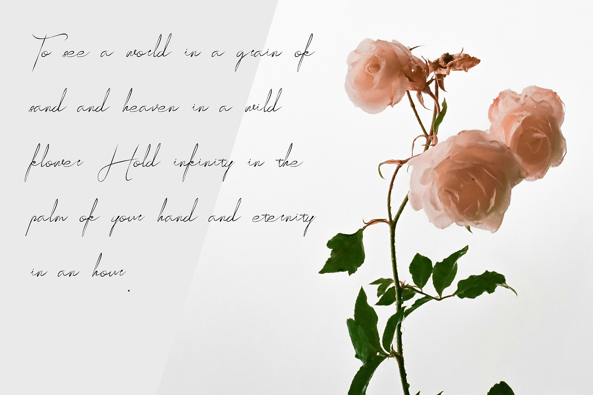 Kazequill smooth and elegant script