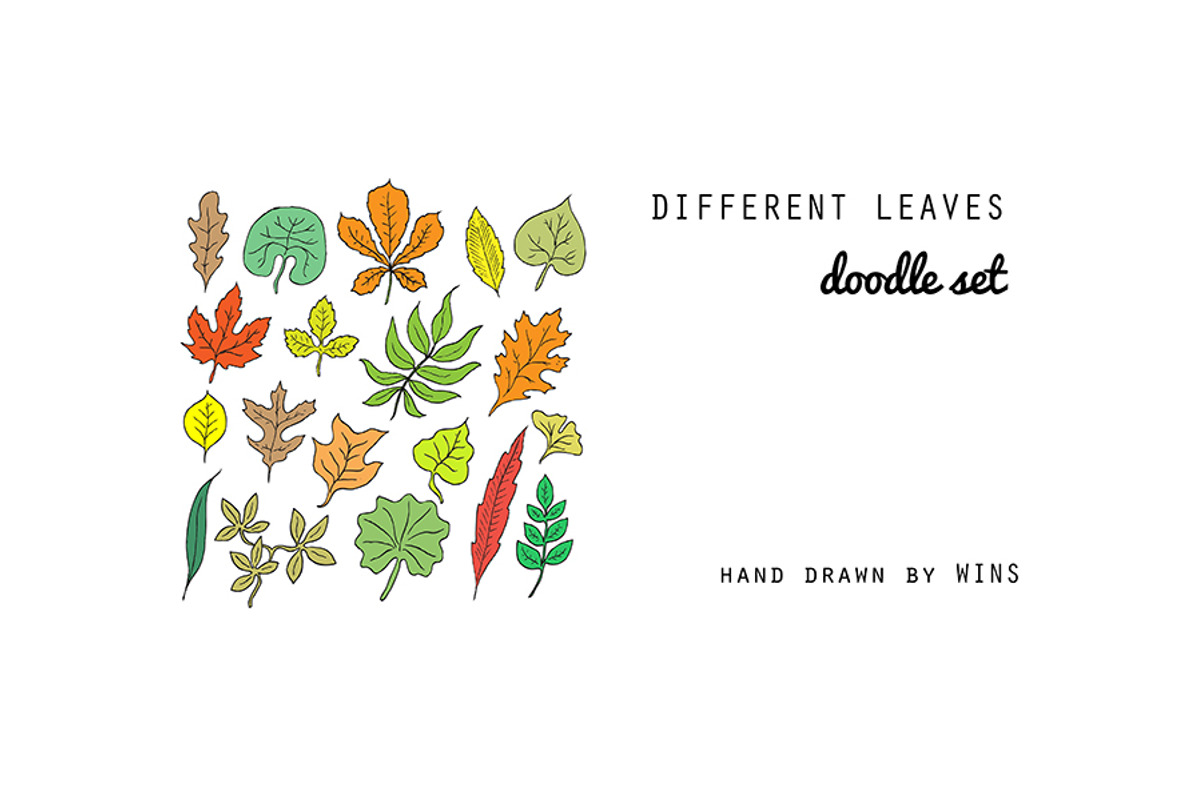 Leaves. Doodle set, an Illustration by WINS Doodle shop