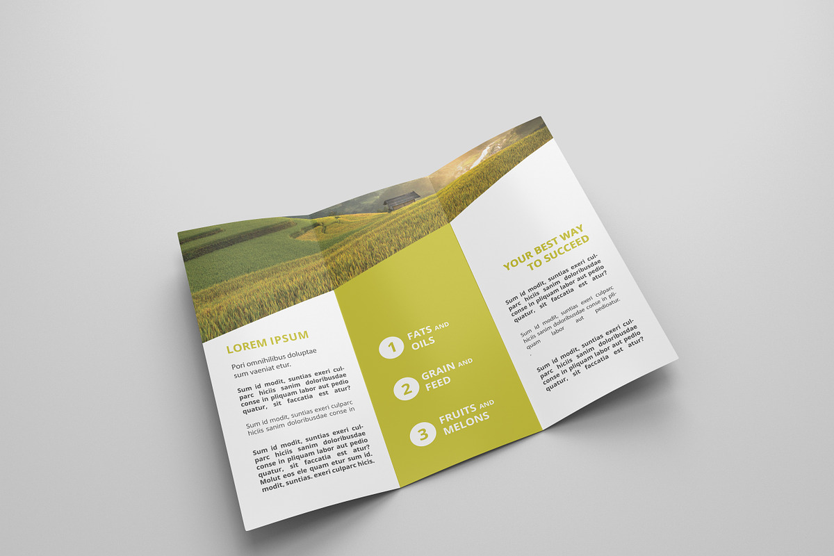 Agriculture Tri-fold Brochures, a Brochure Template by Creatricks