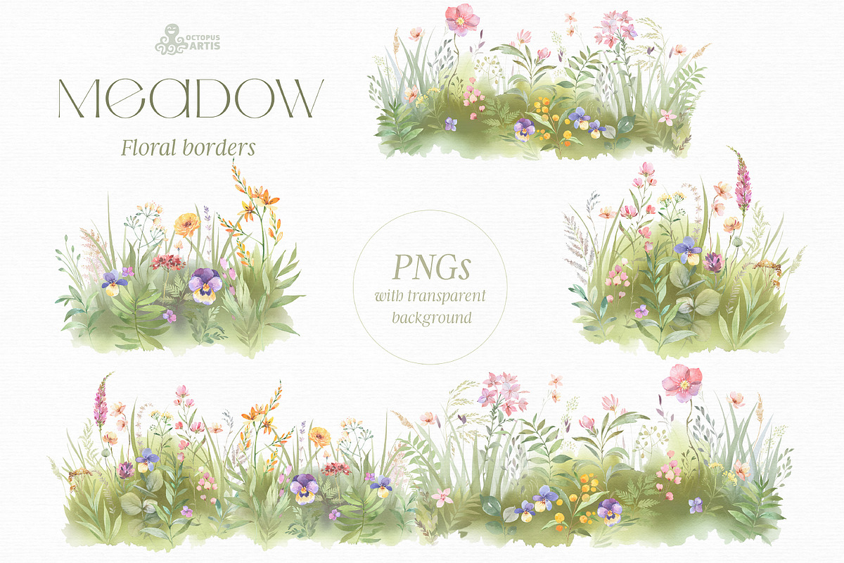 Meadow. Floral Borders & Elements, a Decorative Illustration by ...