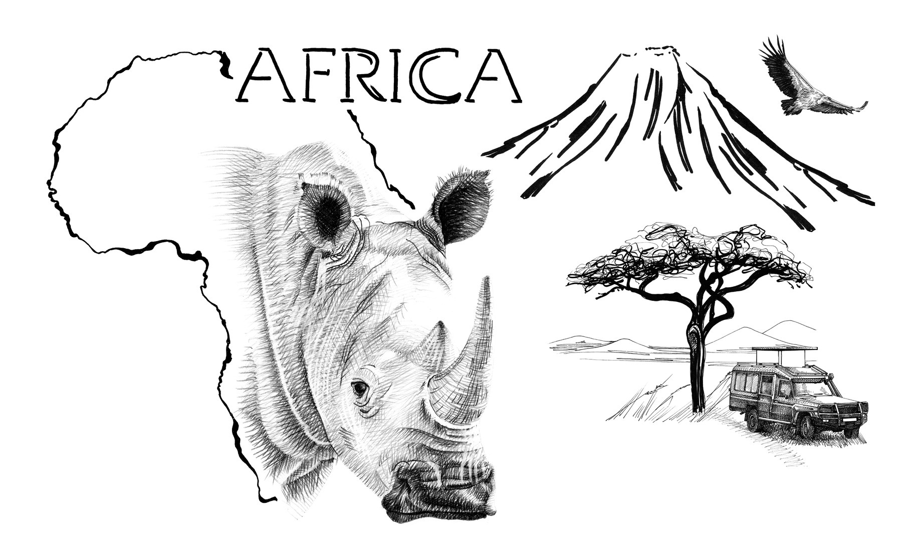 Rhino portrait on Africa map backgro, an Education Illustration by Byrdyak