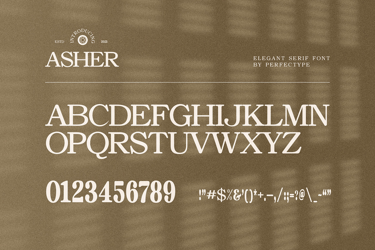 Asher Elegant Serif Font Typeface, a Serif Font by Perfectype