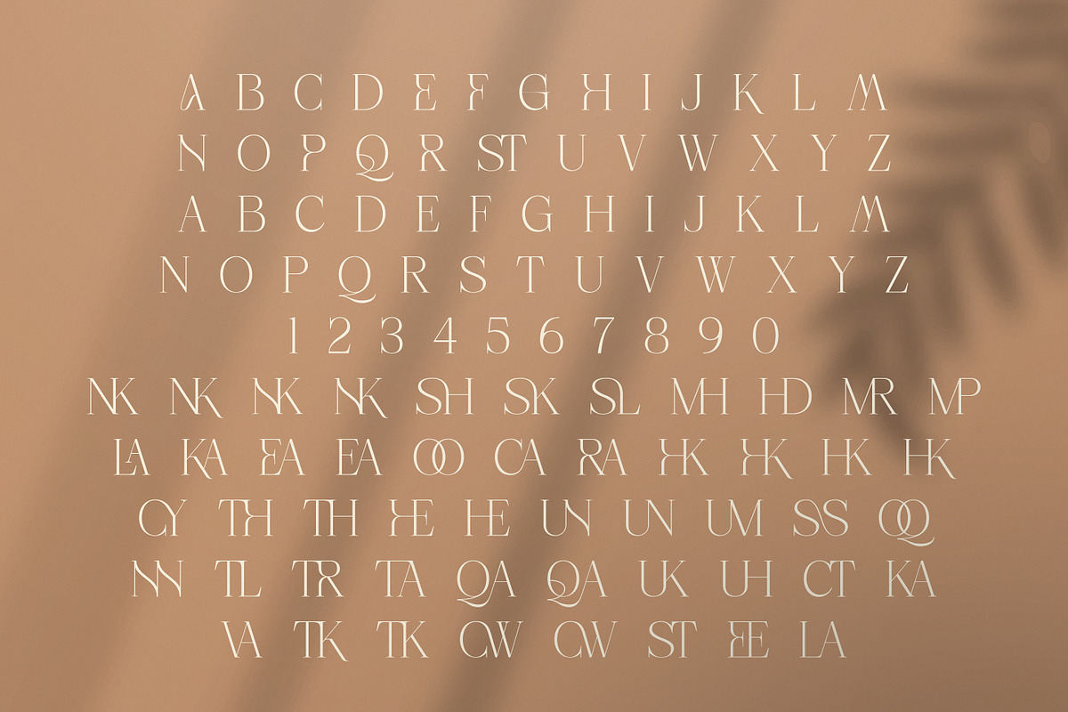 Aqala Display Font, a Serif Font by Typetemp Studio