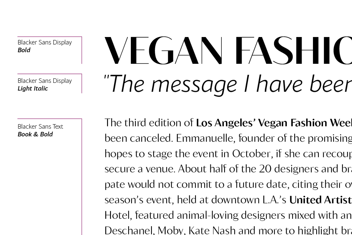 Blacker Sans - 60 + 3 variable fonts, a Sans Serif Font by Zetafonts