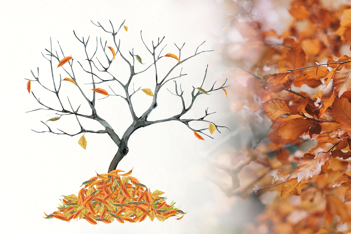 Four Seasons Clip Art Set, an Education Illustration by Tati Bordiu