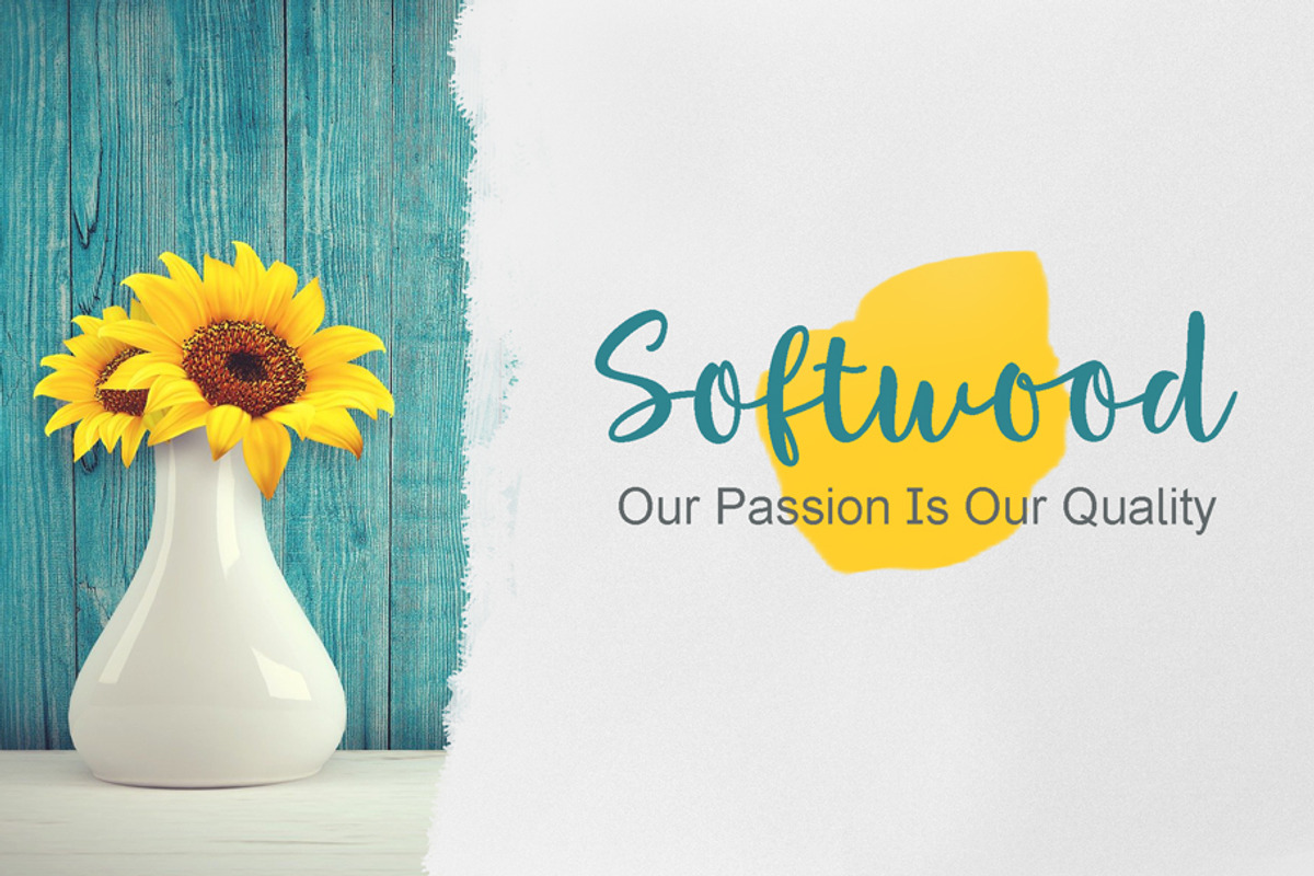 Apple Handwritten Script Font