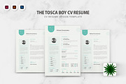Tosca Boy CV Resume | Resume Templates ~ Creative Market