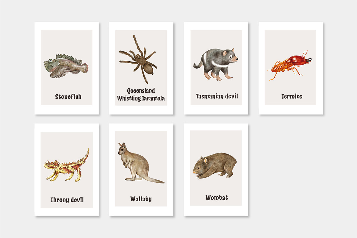 AUSTRALIAN ANIMALS printable cards