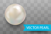 Vector Pearl, an Object Graphic by OliaGraphics