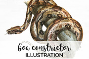 Boa Constrictor Snake Vintage, an Animal Illustration by Enliven Designs
